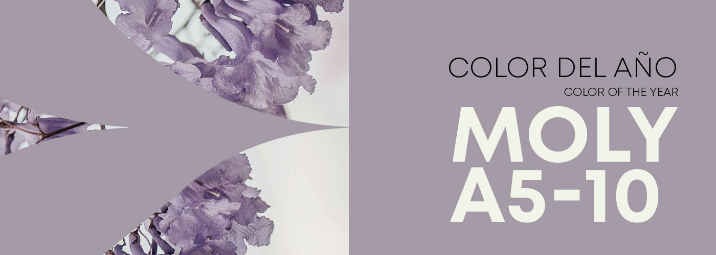 Estas son las tendencias de color y decoración para este 2023 - Quinto Poder