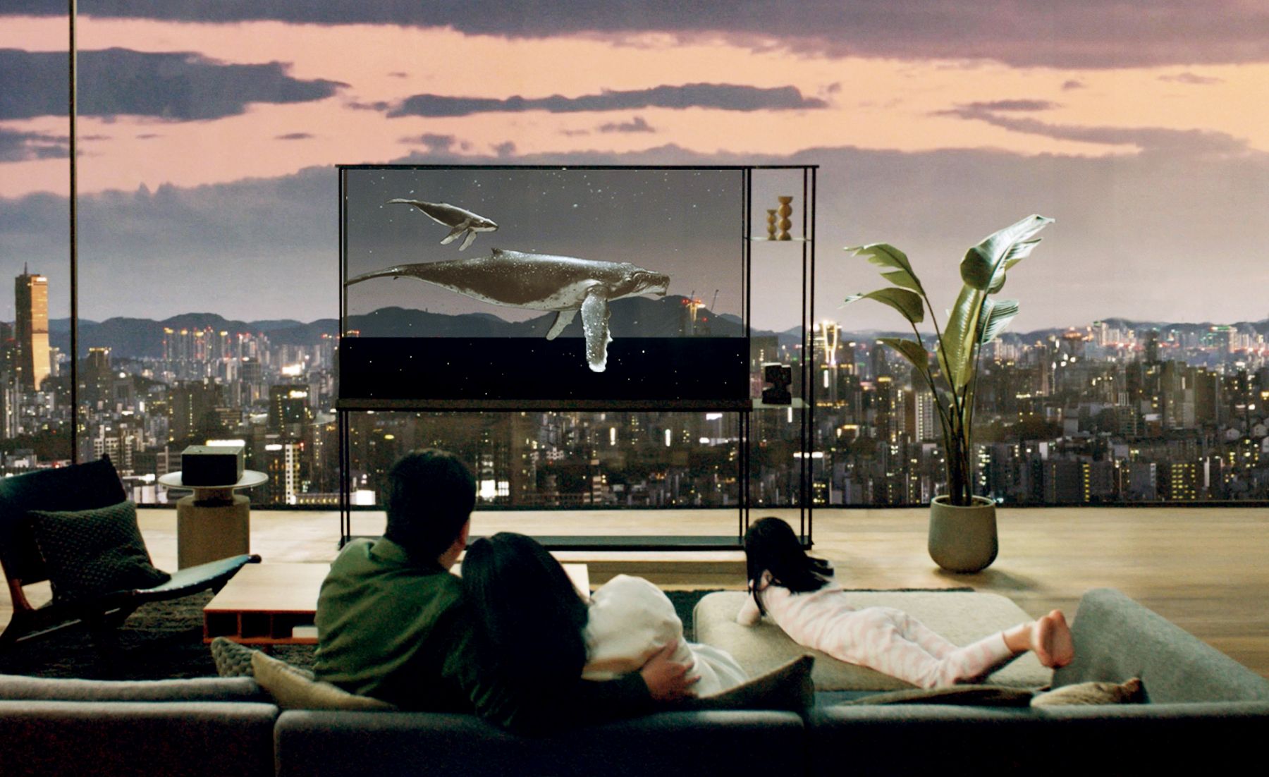 El primer televisor 4K OlED transparente e inalámbrico del mundo ofrece ...
