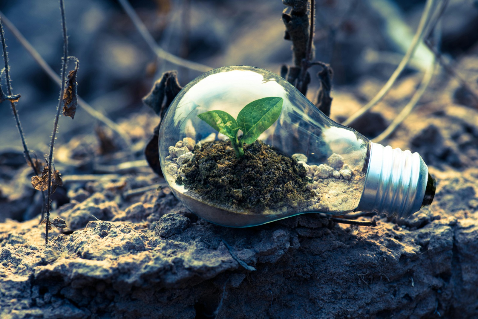 Impulsa tu proyecto científico o tecnológico con apoyo financiero del ...